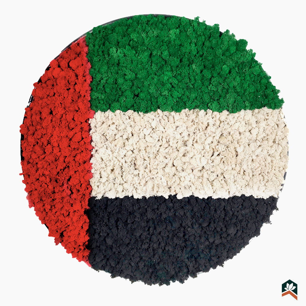 UAE Flag Moss Frame 70x70 cm – Mossaro