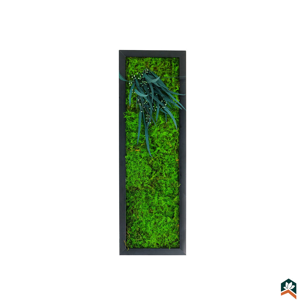 Oren Moss Frame 60x20cm – Mossaro