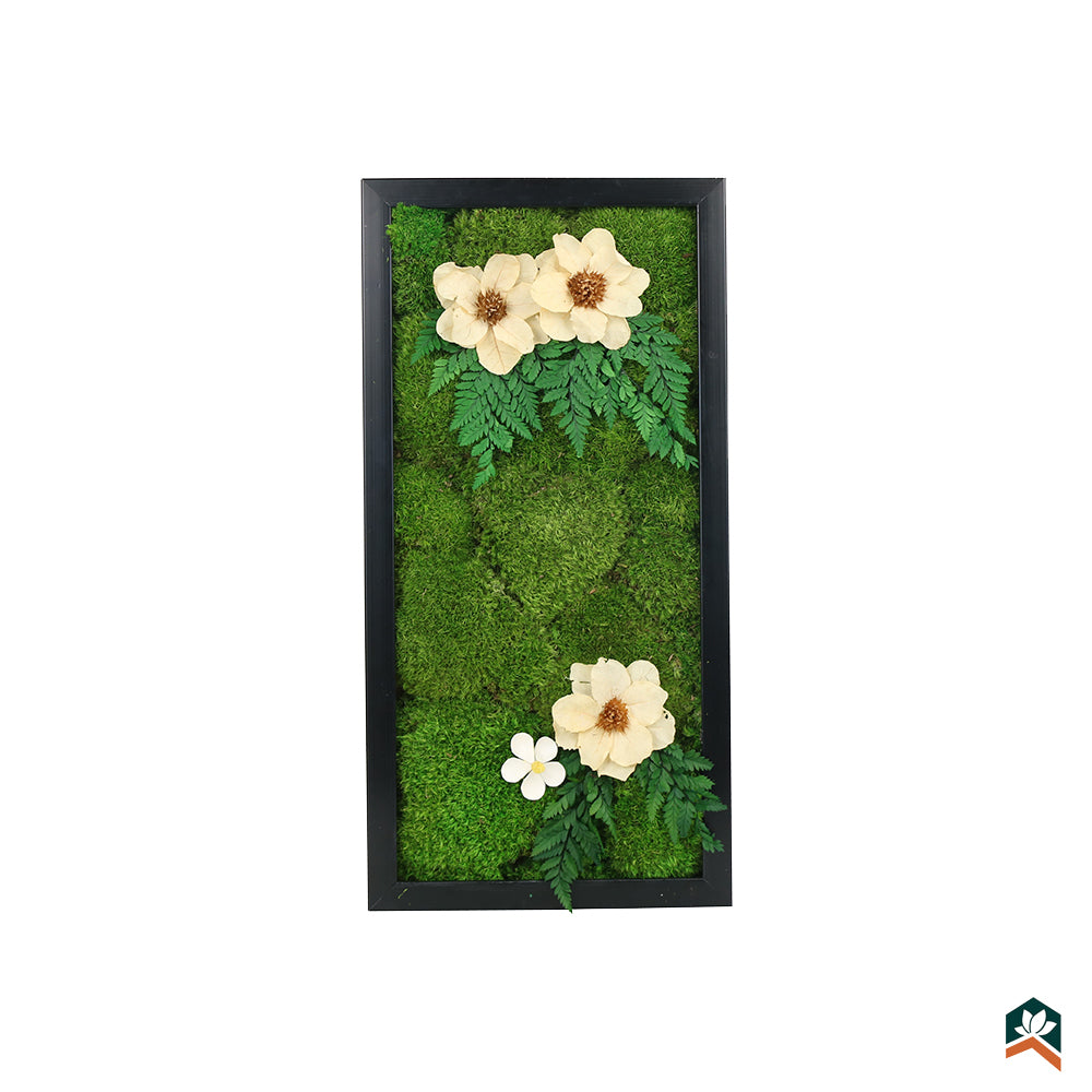 Cosmo Moss Frame 25x50cm – Mossaro